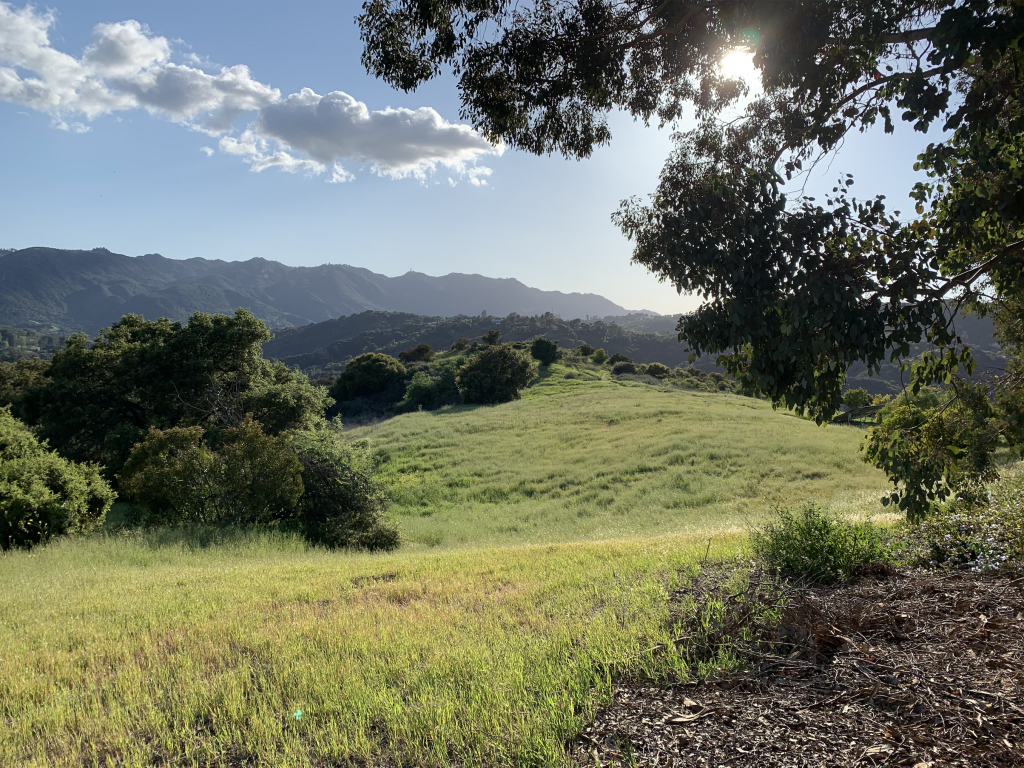 Healers' Intensive: Vision, Training and Initiation | Deena Metzger